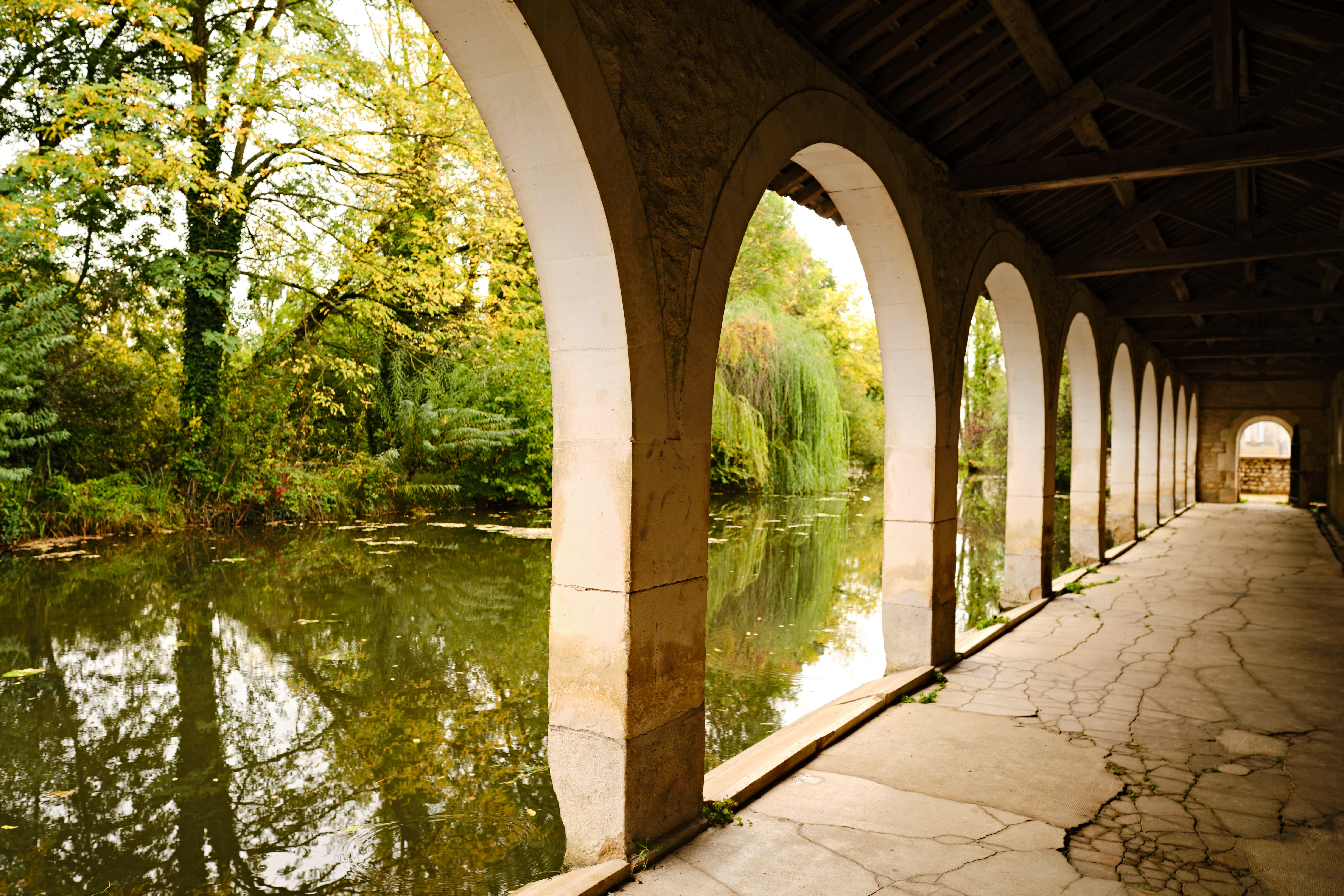 Burgundy's new generation