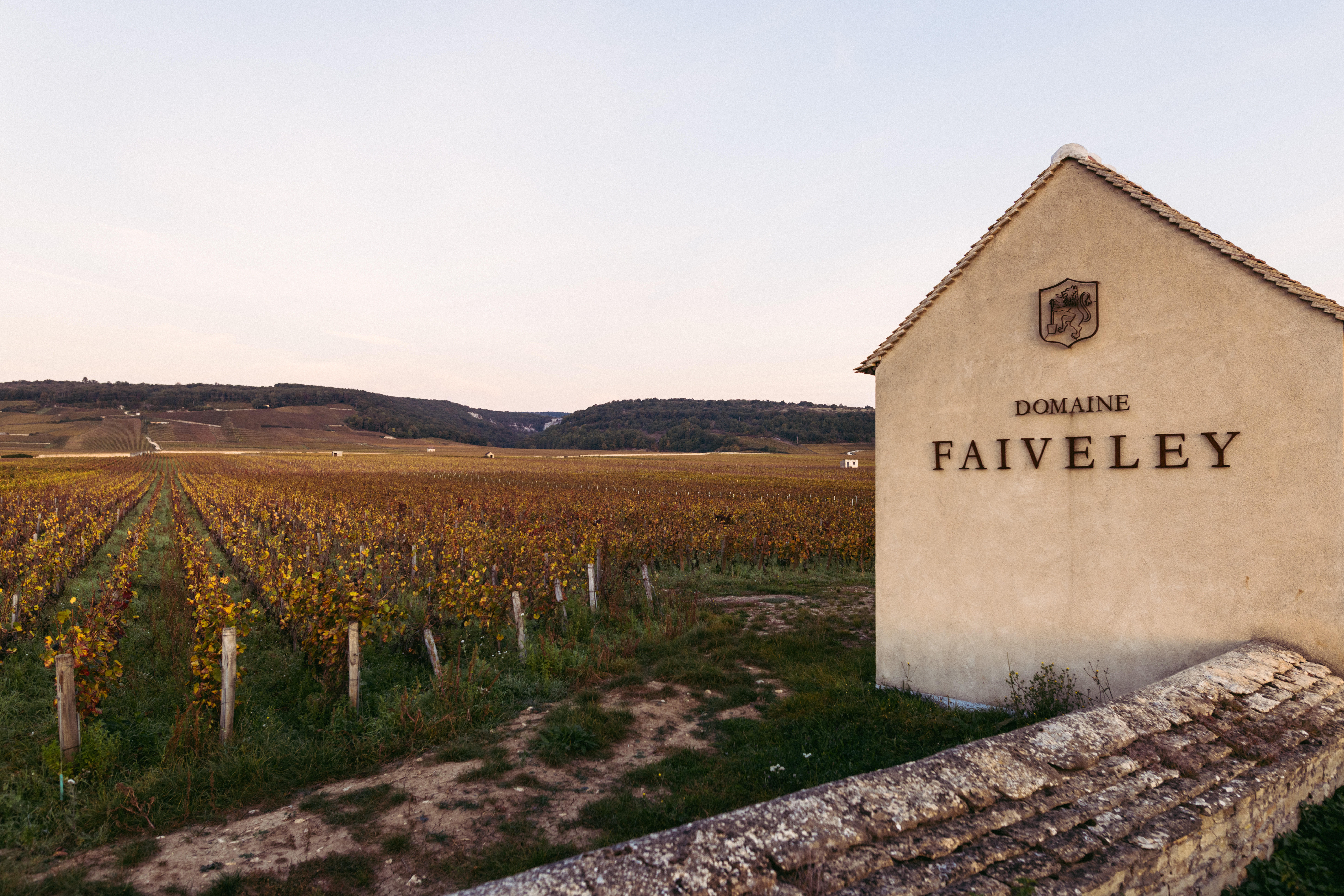 Domaine Faiveley: big and small | Berry Bros. & Rudd
