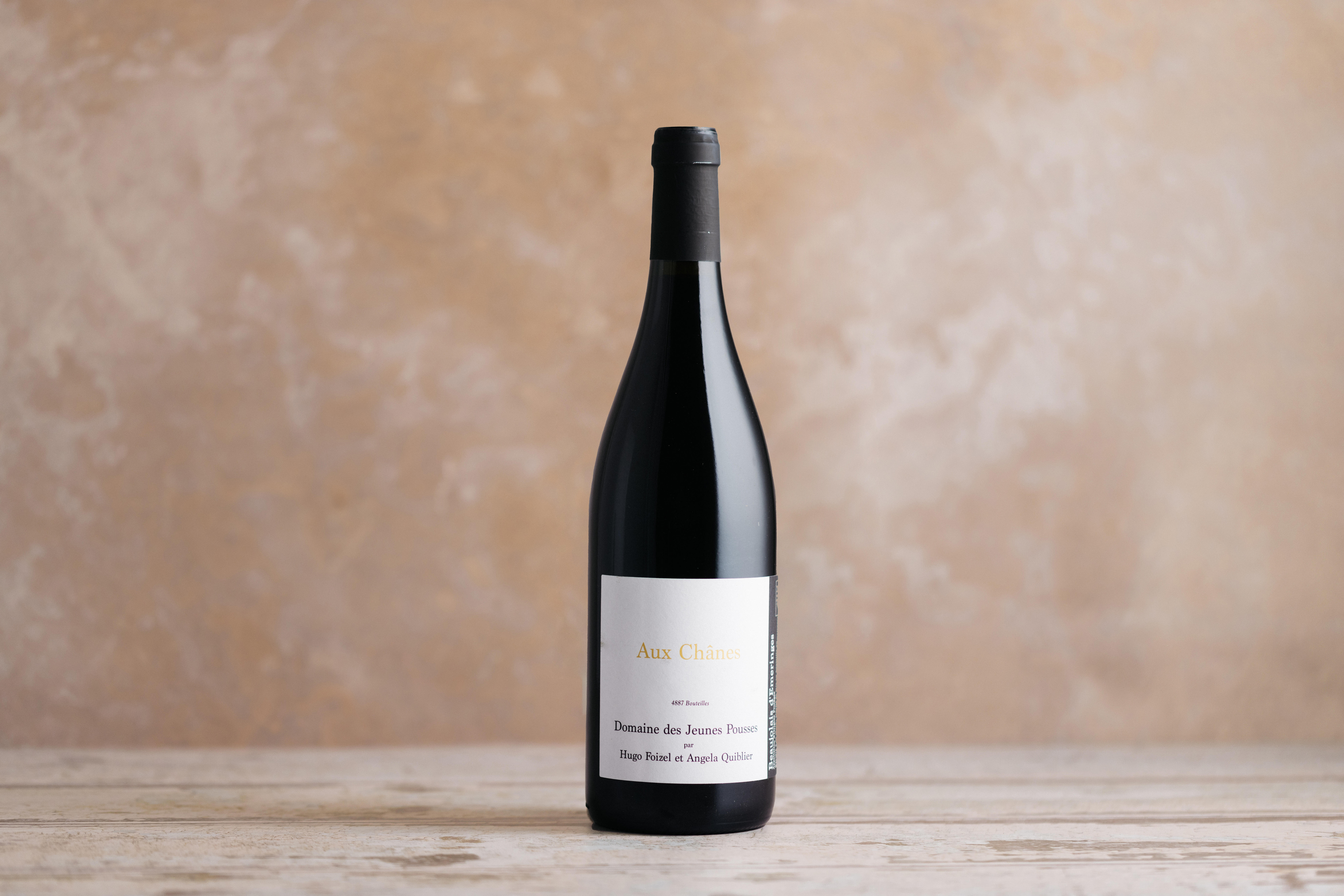 Burgundy 2024 En Primeur | Village Wines