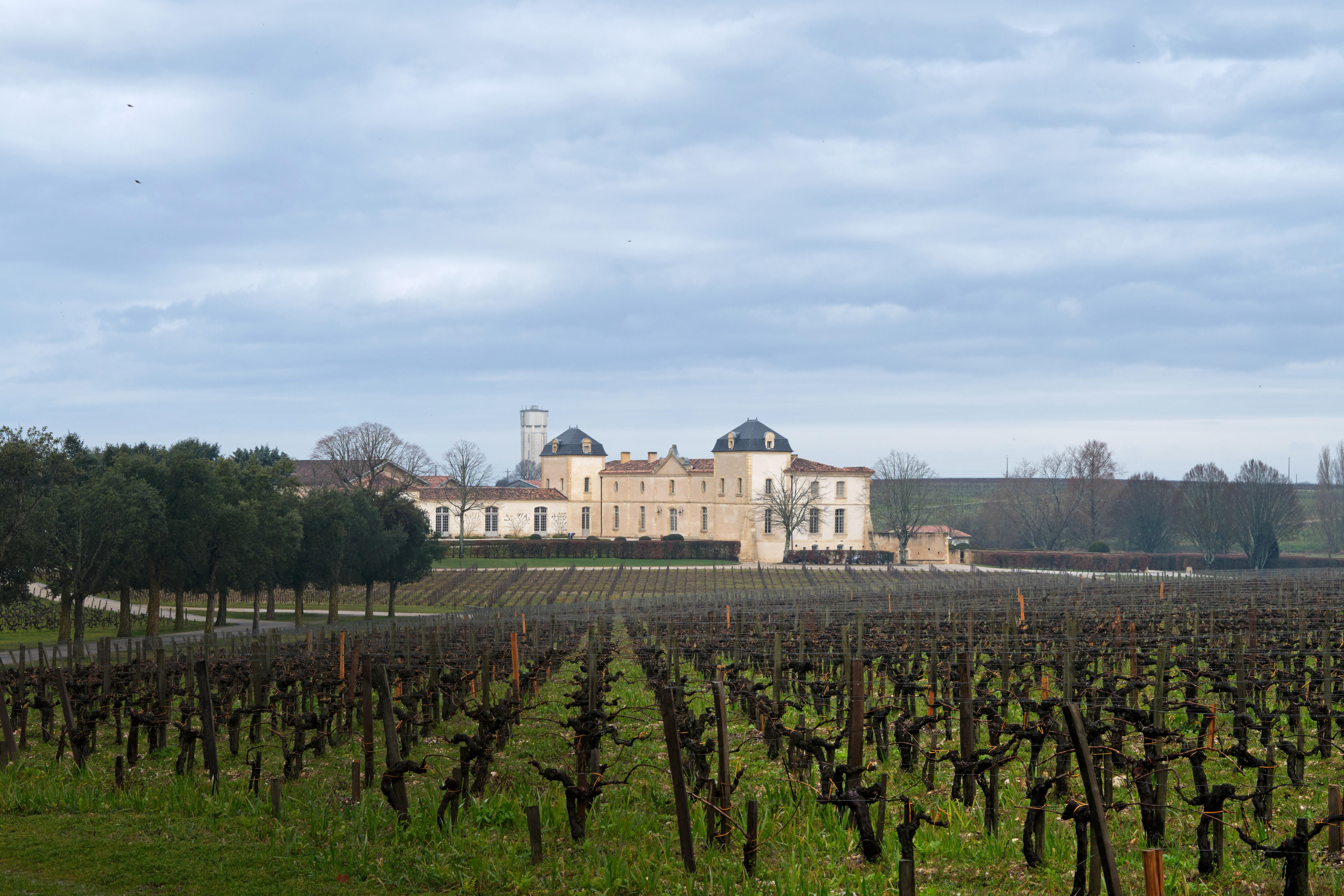 Learn about Wine: Saint-Estèphe | Bordeaux | France | Berry Bros. & Rudd