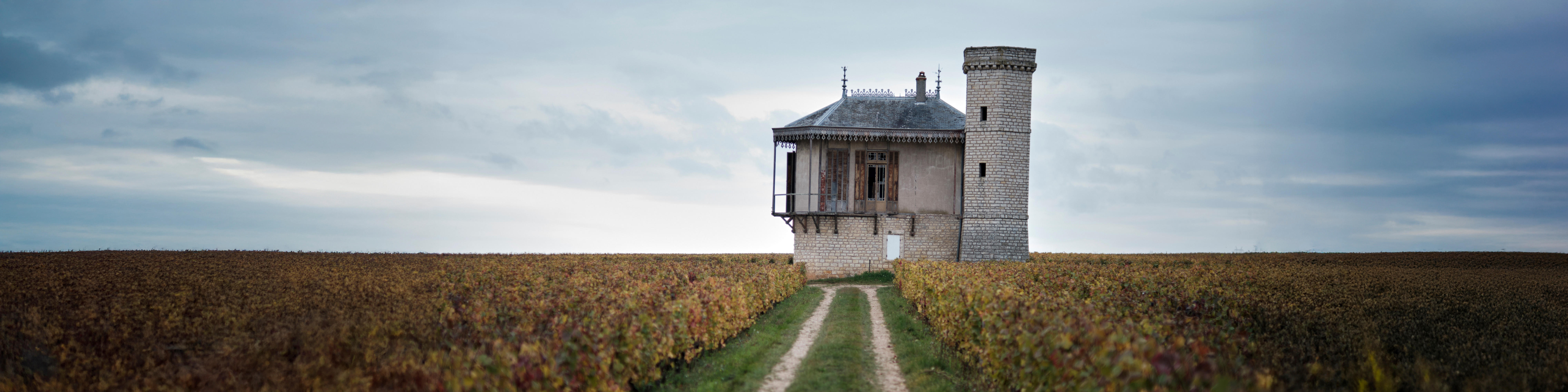 Burgundy 2024 En Primeur | All Releases