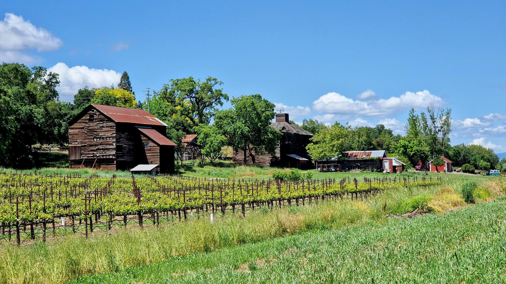 Ramey Wine Cellars