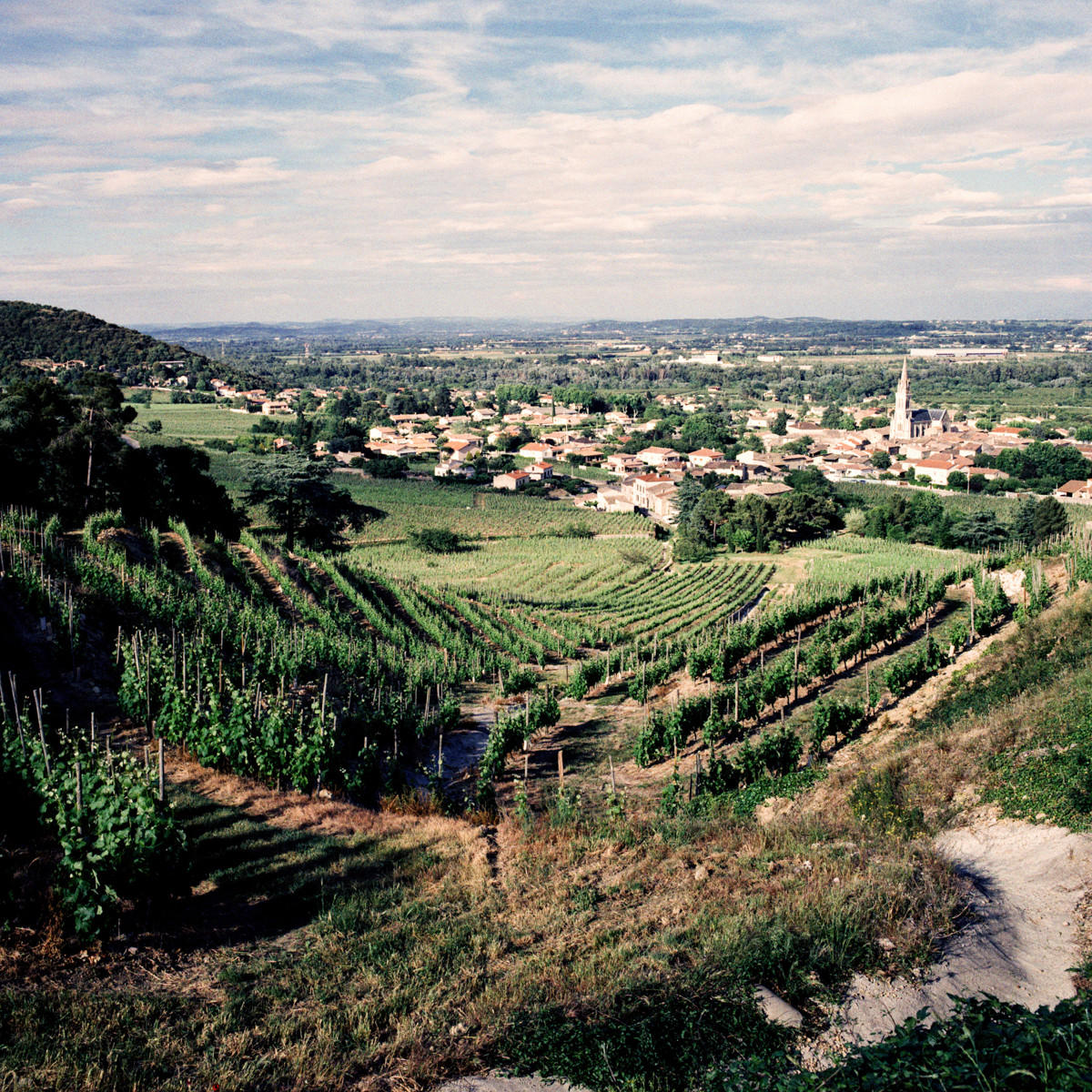 Wines to drink now | Berry Bros. & Rudd