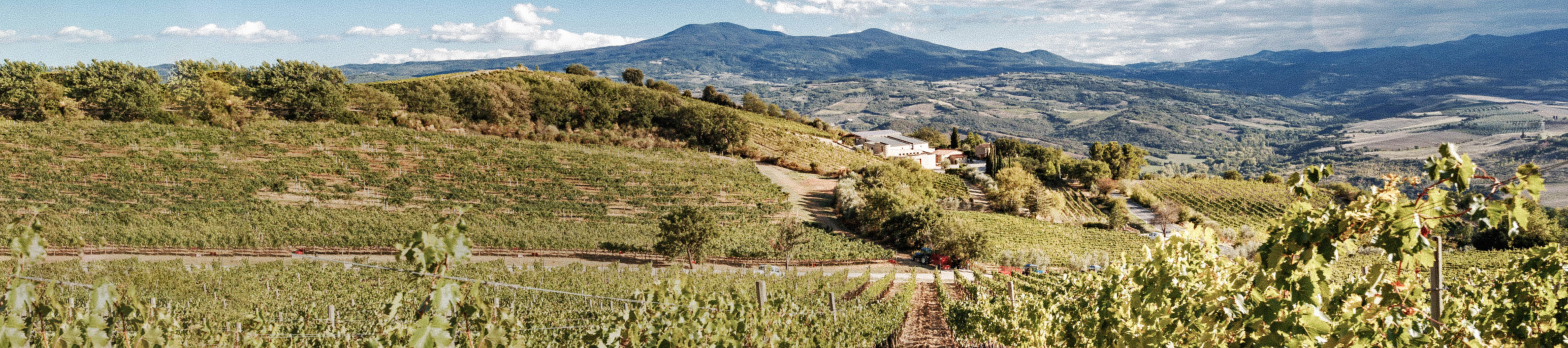 2021 Brunello di Montalcino, La Magia, Tuscany, Italy