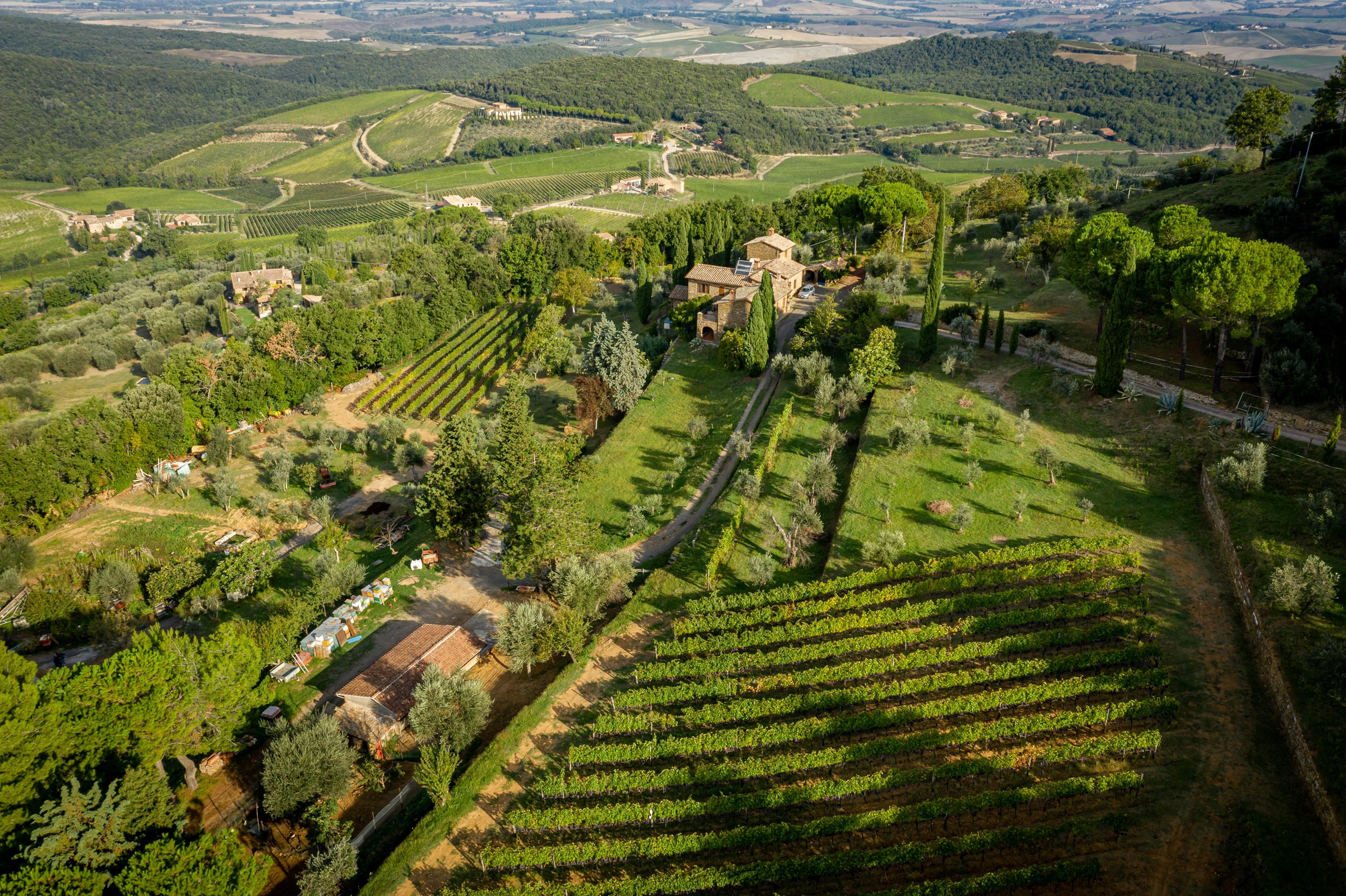 From an expert: collecting Tuscan wines | Berry Bros. & Rudd