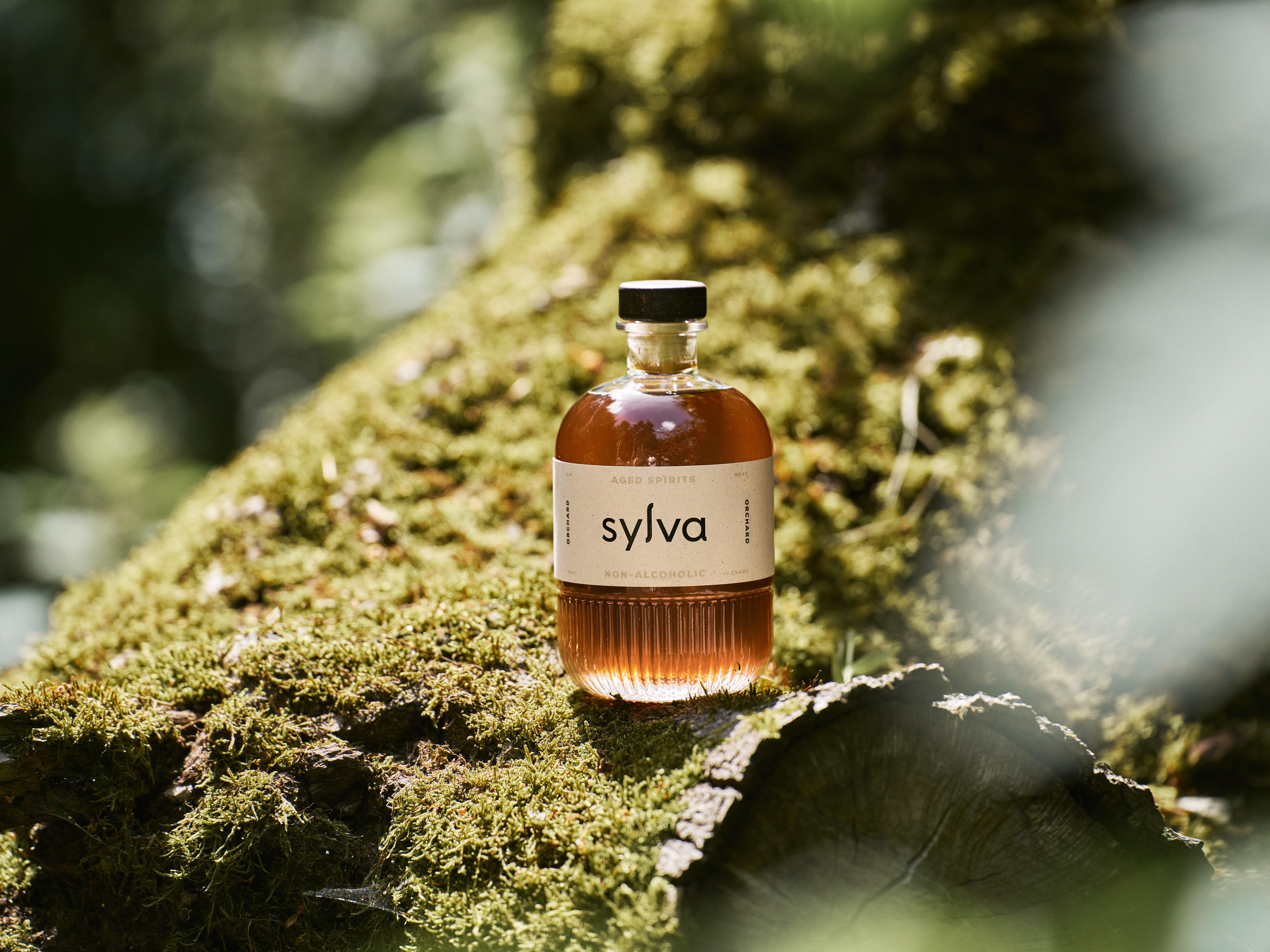 Low & No Alcohol | Sophisticated Drinks for Every Occasion
