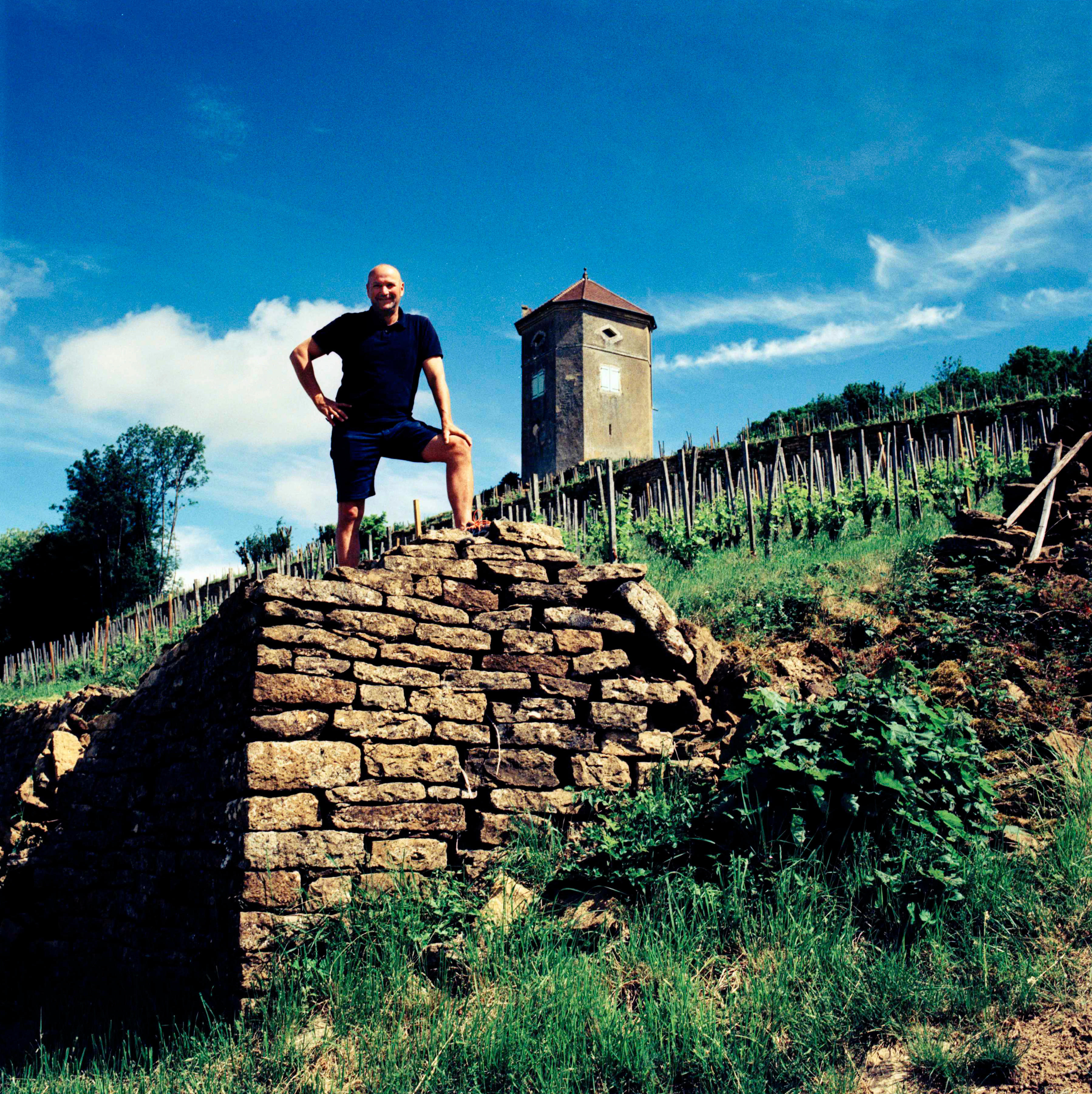 2023 Arbois, Poulsard, Vieilles Vignes, Domaine Tissot, Jura