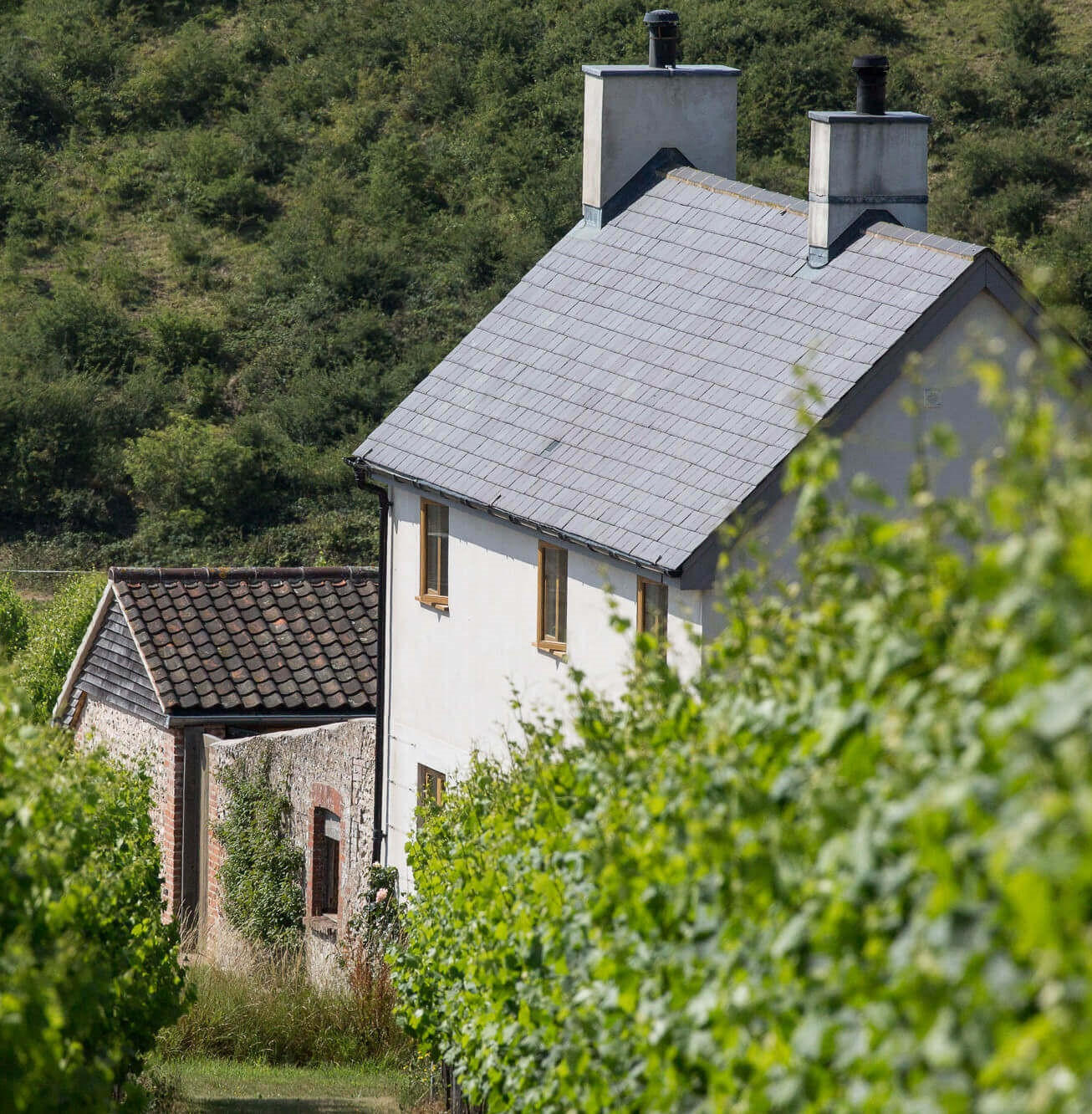 Buy 2019 Rathfinny, Classic Cuvée, Brut, Sussex, England Wine - Berry ...