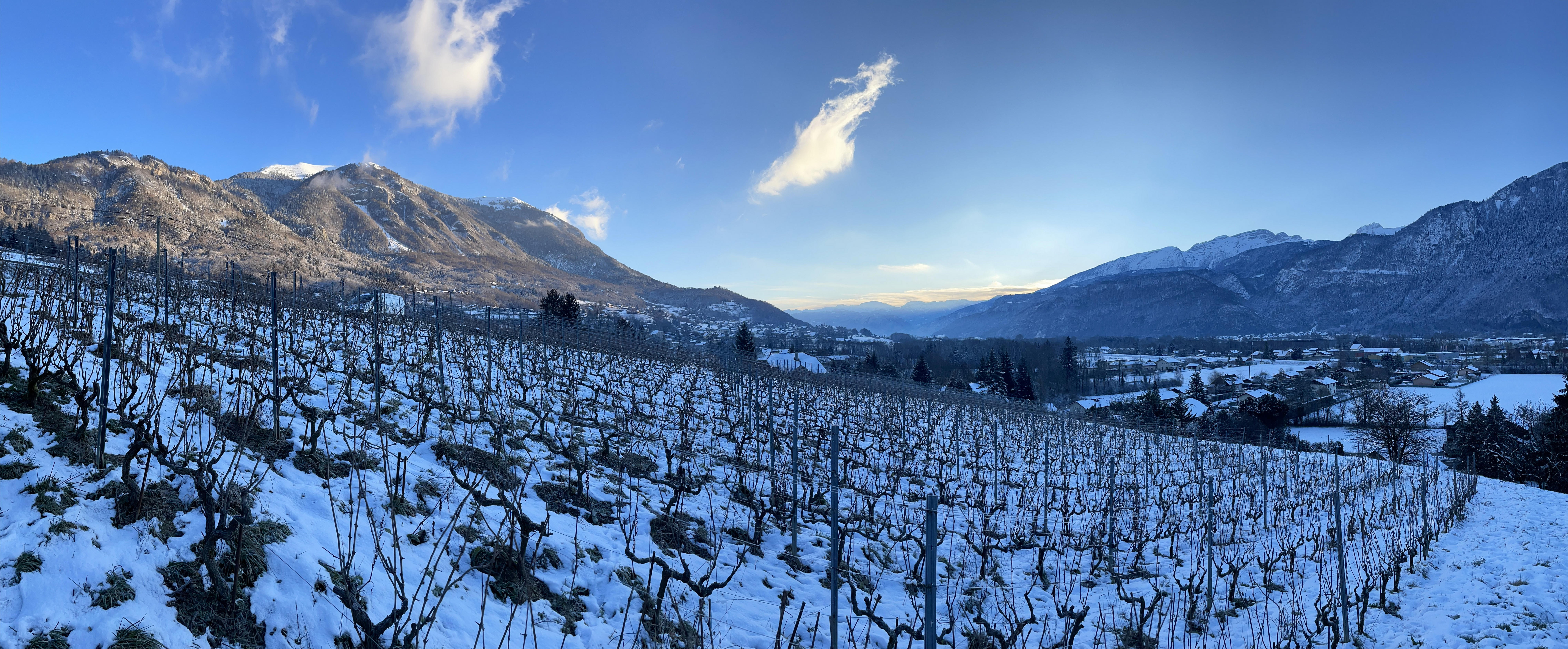 2023 Vin de Savoie, Chez Edouard, Domaine du Gringet