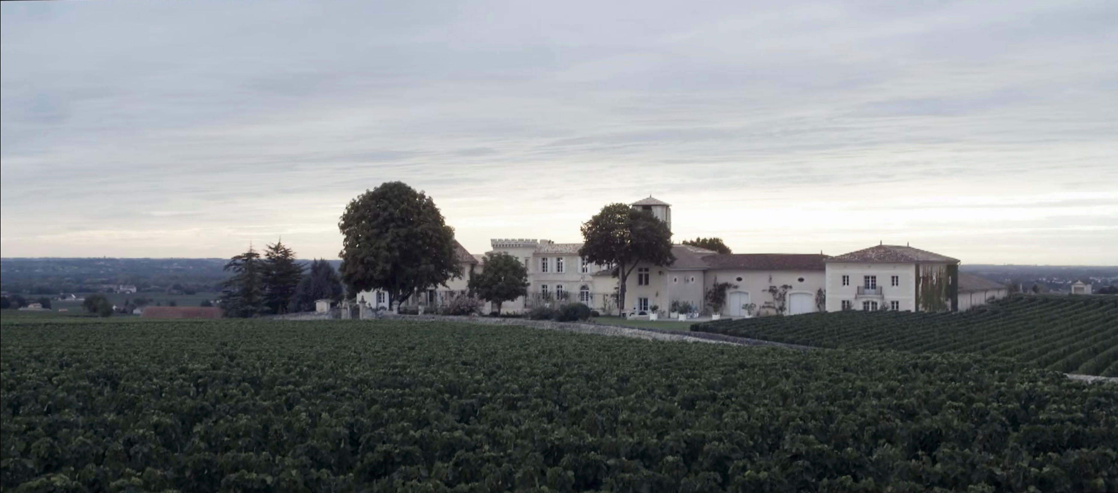 2018 Croix Canon, St Emilion, Bordeaux