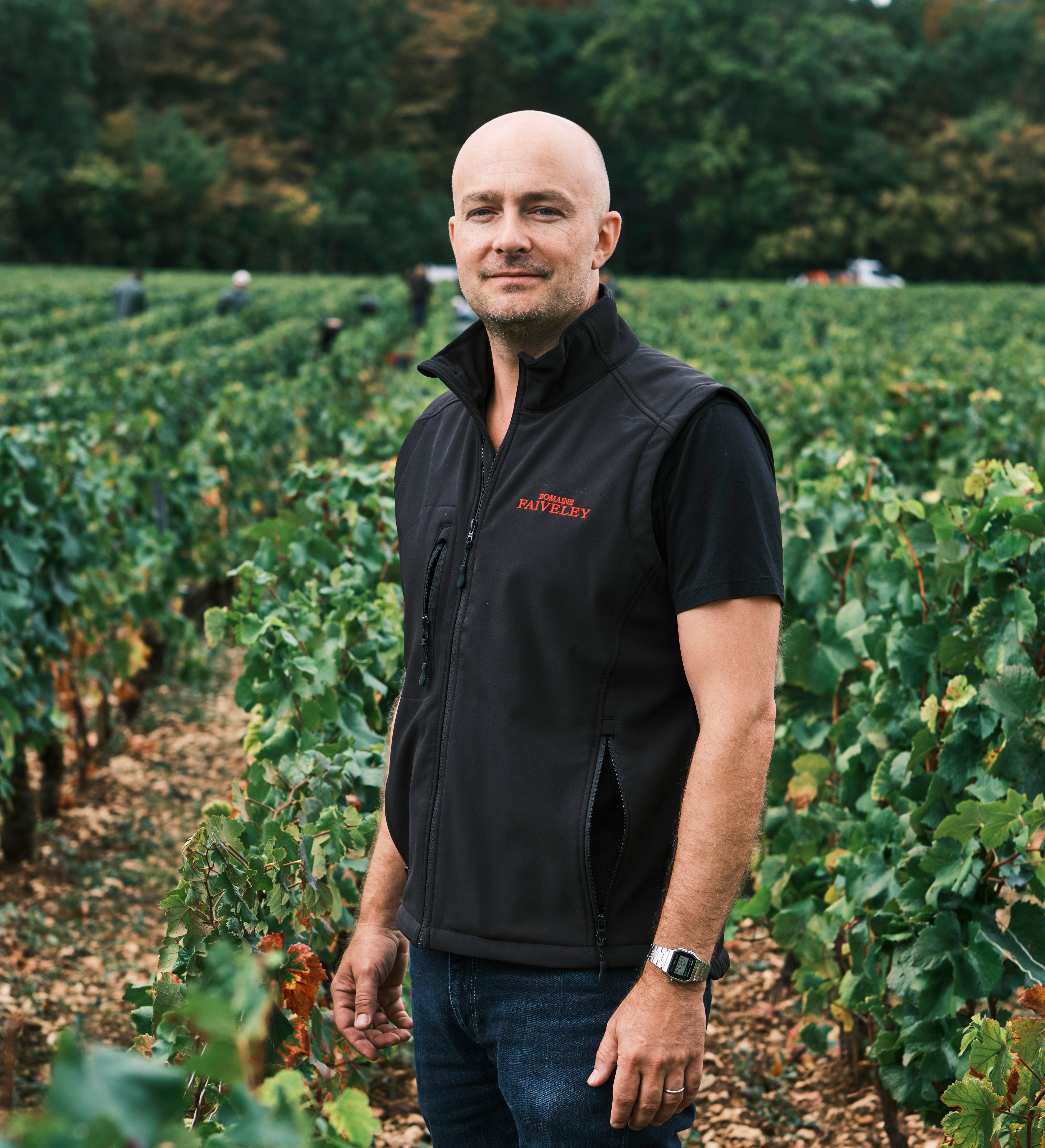 Explore the Wine range of Domaine Joseph Faiveley - Berry Bros. & Rudd