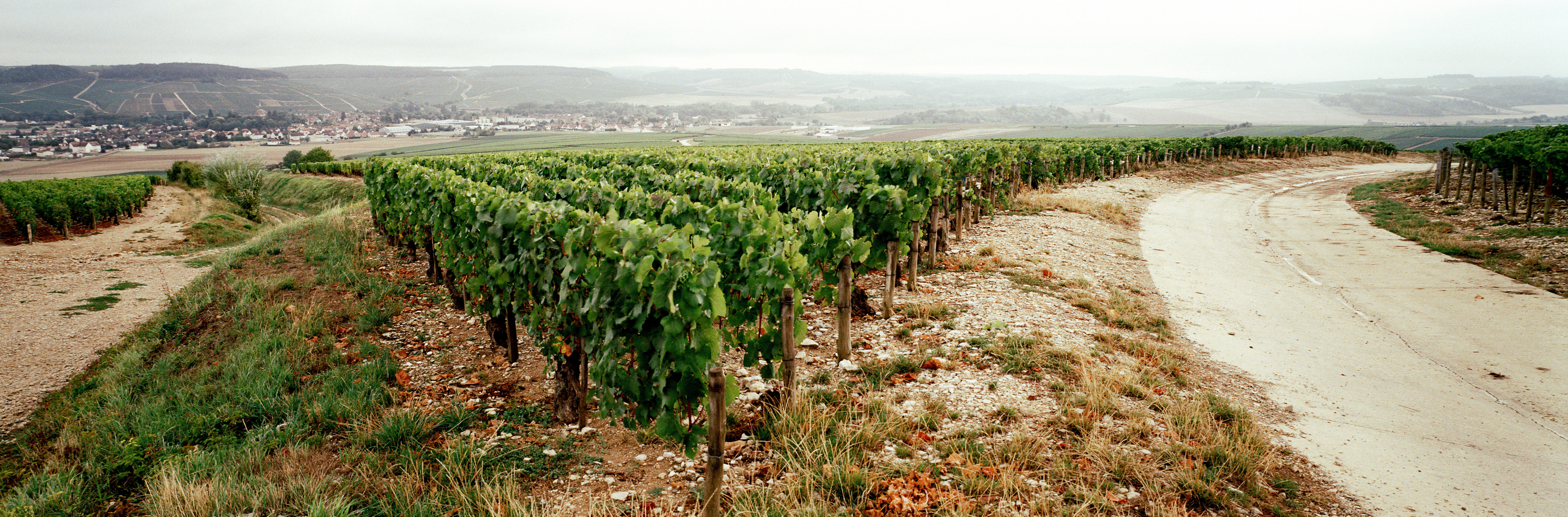 2024 Chablis, Famille Grossot, Burgundy