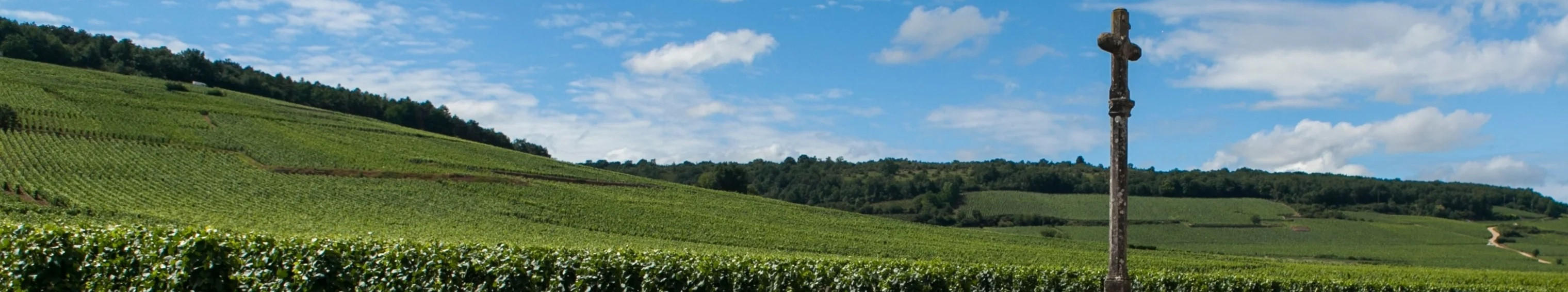 2024 Vosne-Romanée, Domaine Guyon, Burgundy
