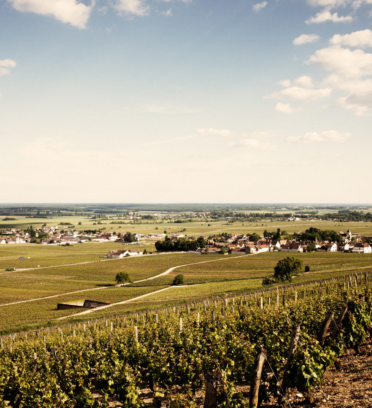 Buy 2018 St Véran, La Côte-Rotie, Olivier Merlin, Burgundy Wine - Berry ...