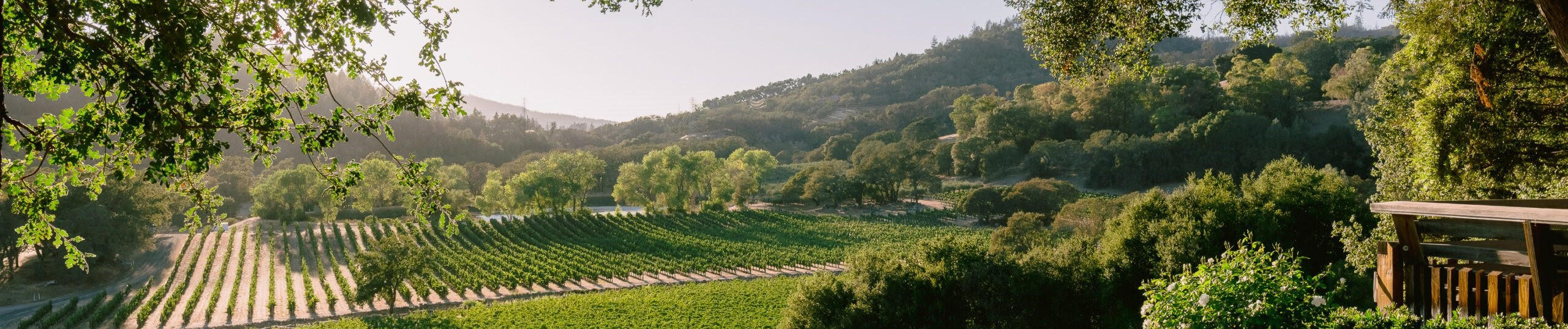 Buy 2022 Inglenook, Blancaneaux, Rutherford, Napa Valley, California ...