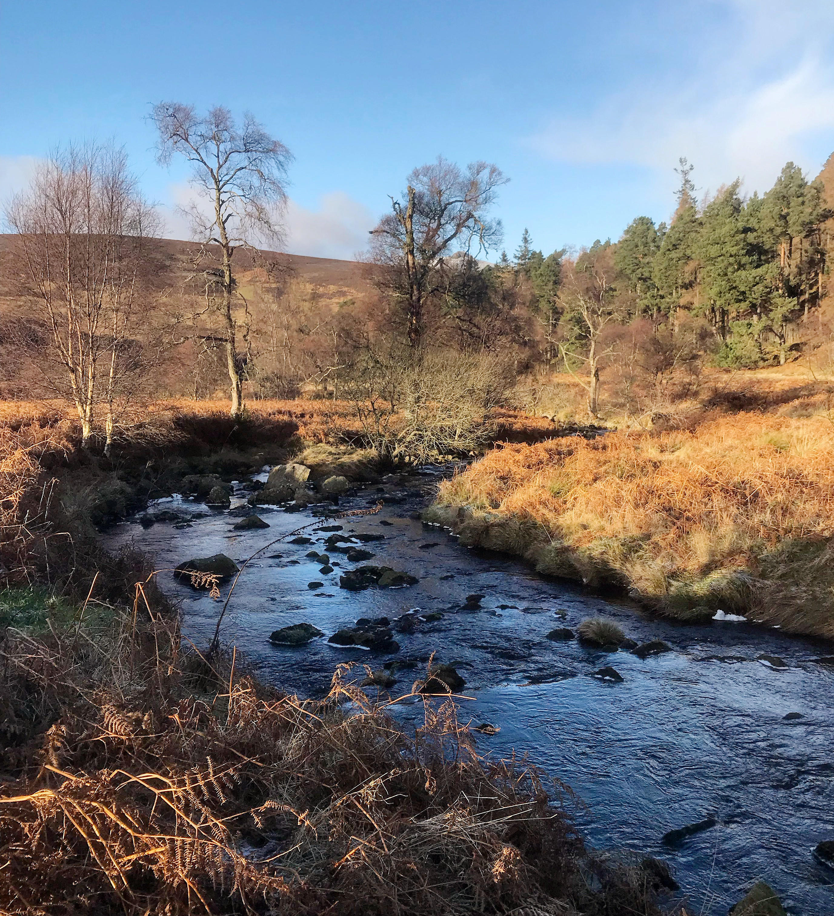 Islay Whisky | Scotch whisky | Regions | Berry Bros. & Rudd