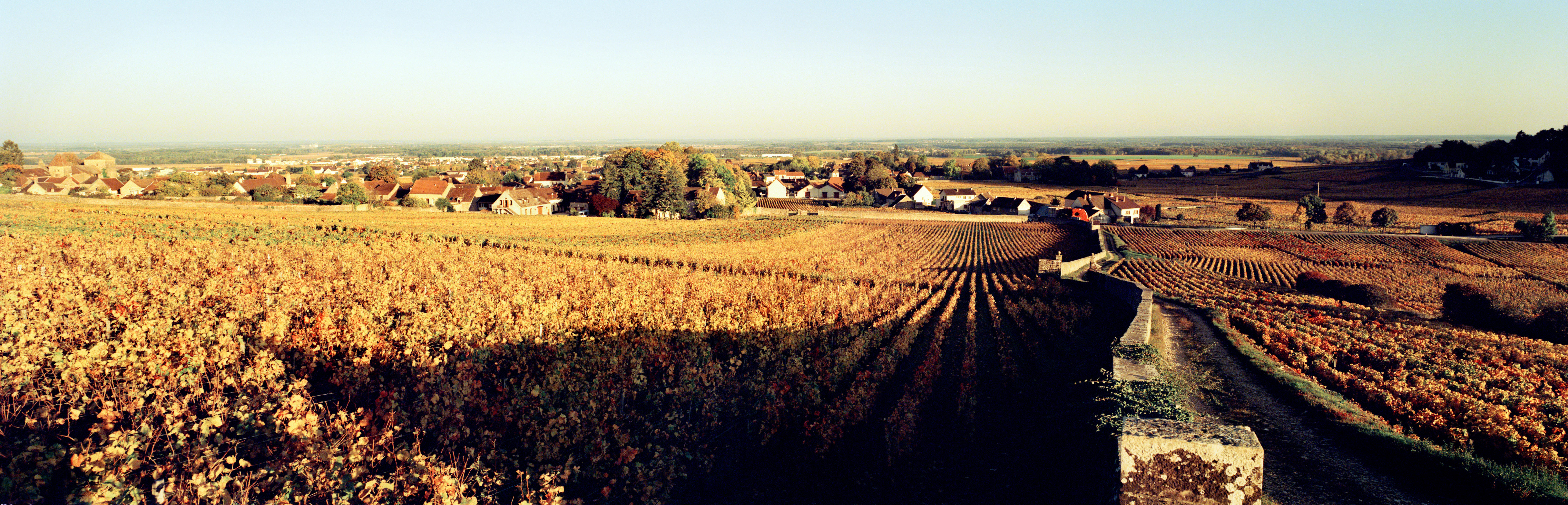 Learn about Wine: Burgundy | France | Regions | Berry Bros. & Rudd