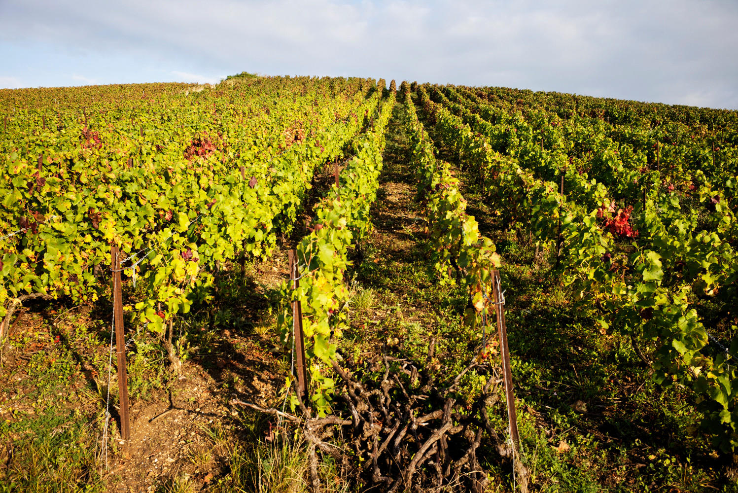 2016 Château Clarke, Listrac-Médoc, Bordeaux
