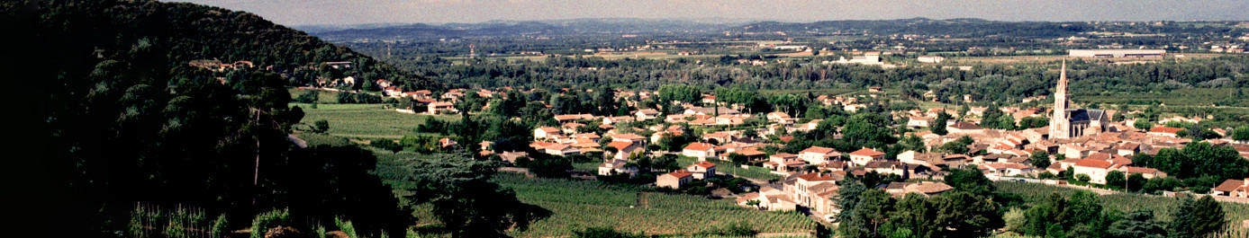The Rhône: a quick guide