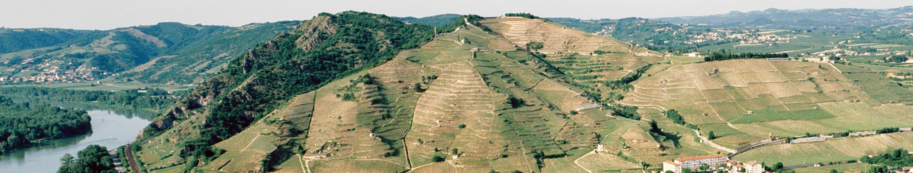 Rhône 2023 En Primeur All Releases