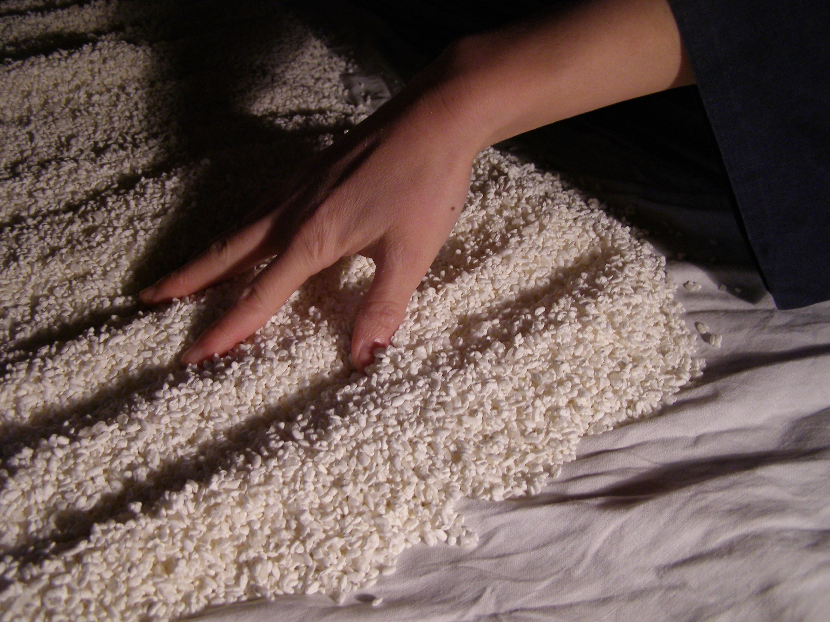 A brief introduction to sake
