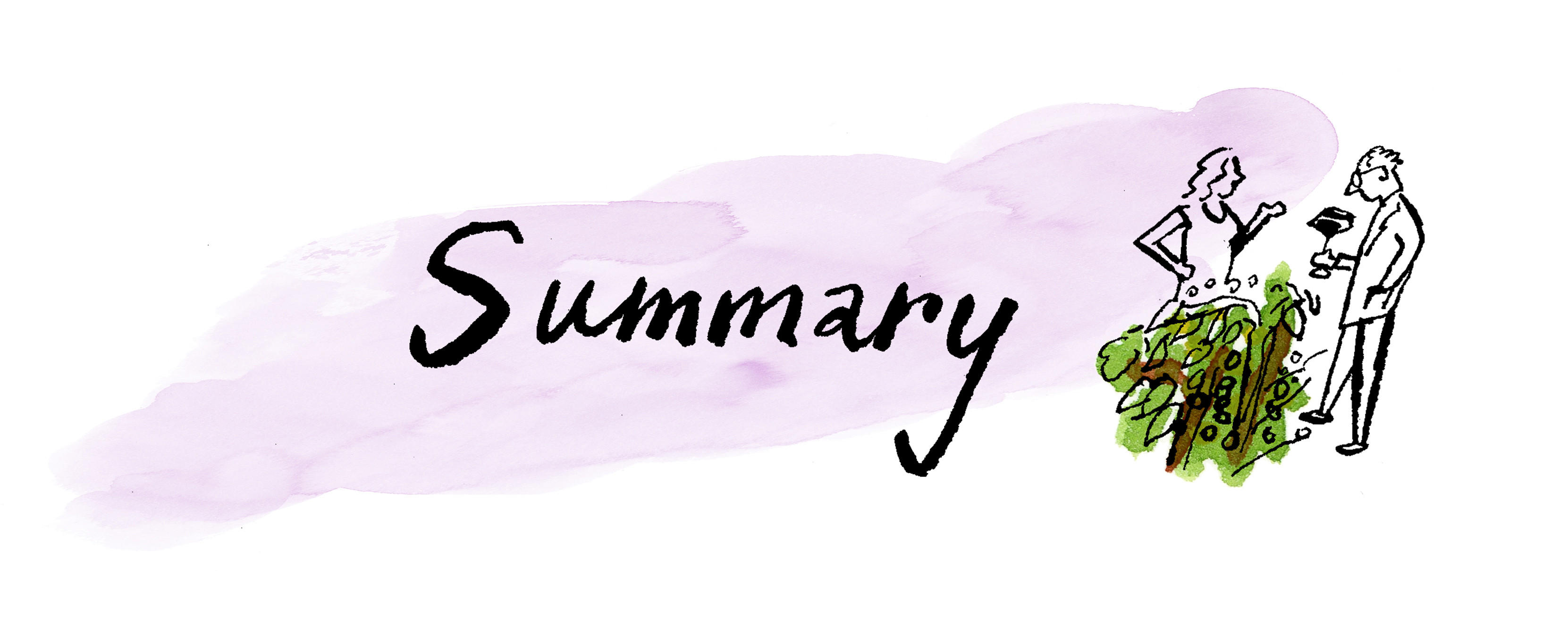 Bordeaux 2024 vintage report | Berry Bros. & Rudd