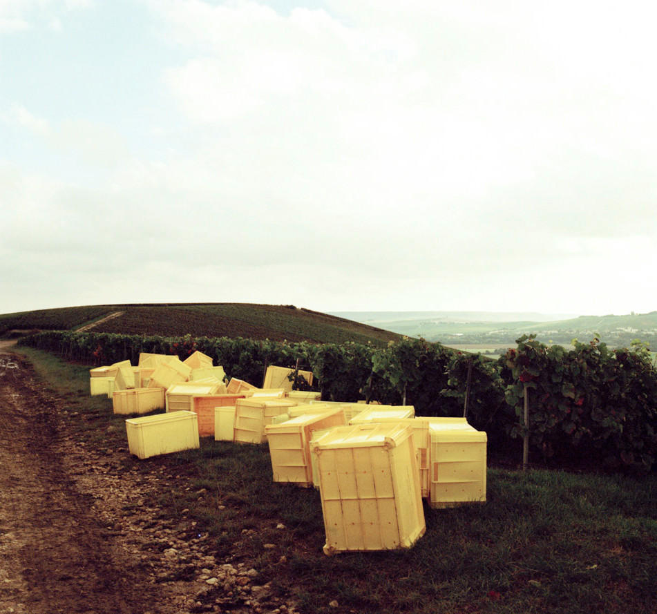 Buy Champagne with Davy Zyw, Wednesday 28th April 2021 90068000506 ...