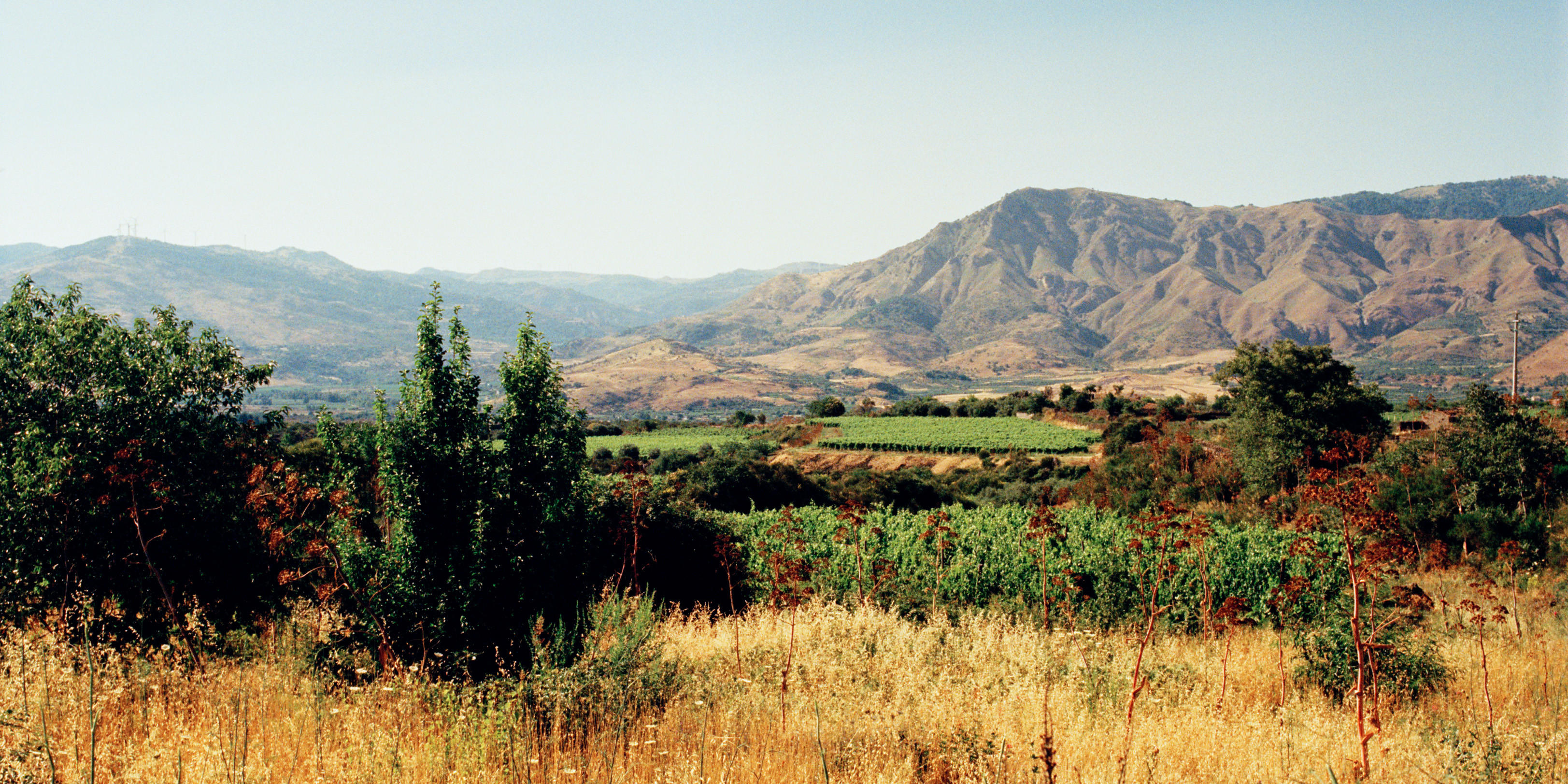 Buy Tour of Italy with Chris Pollington, Saturday 14th October 2023 ...